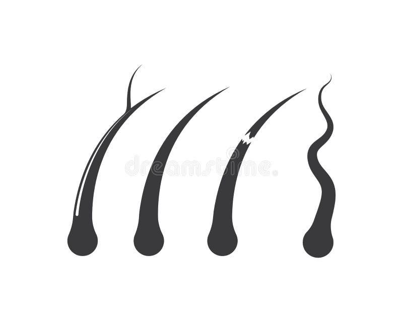 Hair Root Icon Vector Illustration Design Stock Vector - Illustration ...