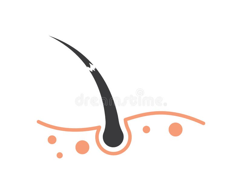 Hair Root Icon Vector Illustration Design Stock Vector - Illustration ...