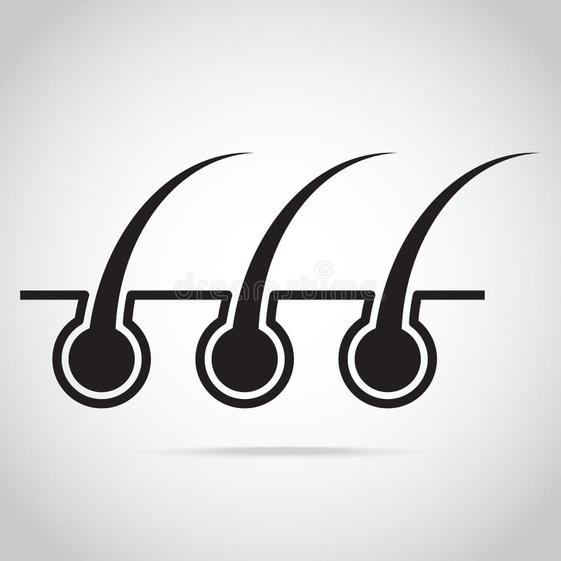 Hair root and skin icon stock vector. Illustration of beard - 137587118