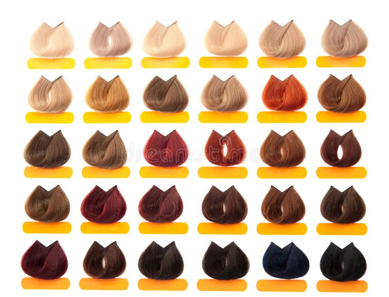 Hair Samples stock photo. Image of lock, brunette, barber - 24248422