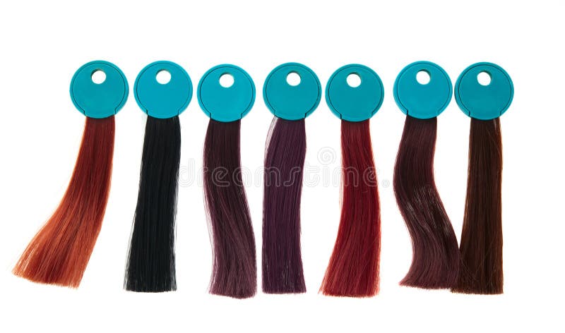 Hair Samples stock photo. Image of lock, brunette, barber - 24248422