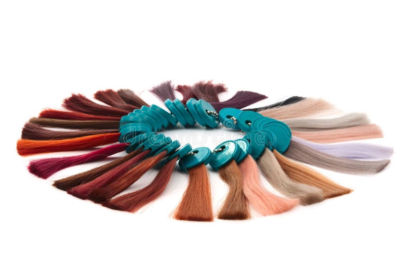 Hair Samples stock photo. Image of lock, brunette, barber - 24248422