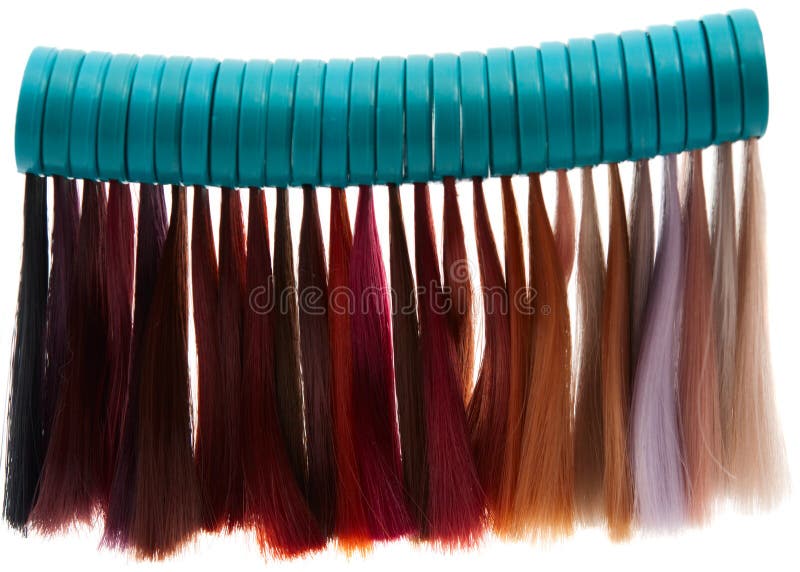 Hair Samples stock photo. Image of lock, brunette, barber - 24248422