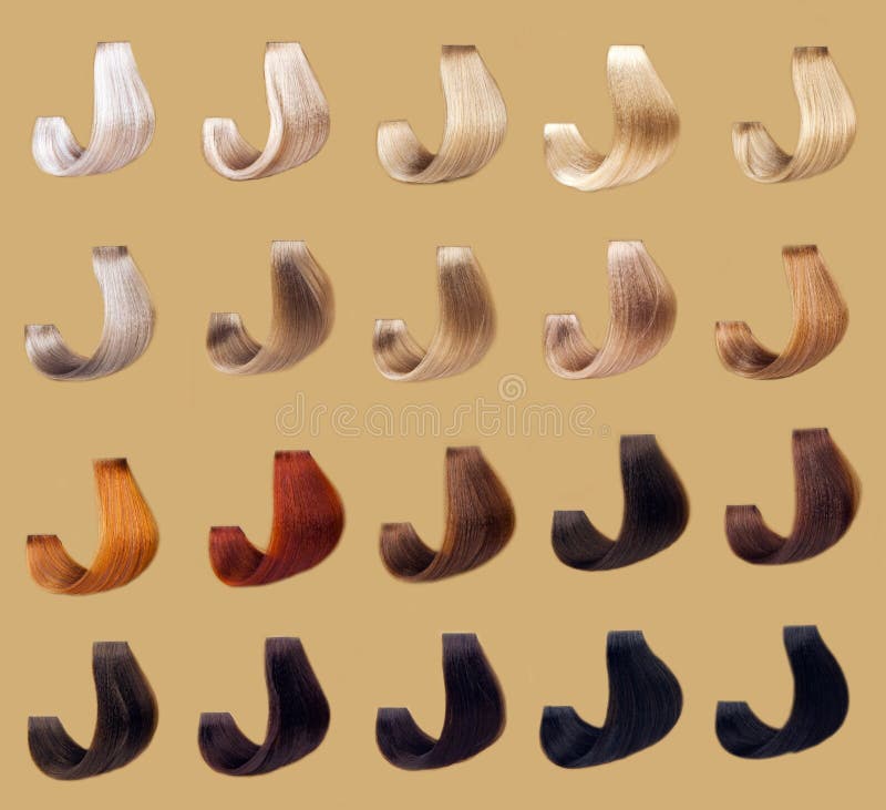 Hair Samples stock photo. Image of lock, brunette, barber - 24248422