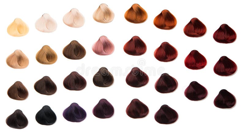 Hair Samples stock photo. Image of lock, brunette, barber - 24248422