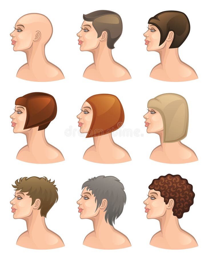 Hairstyles Stock Vector Illustration Of Drawing Hair 16190687