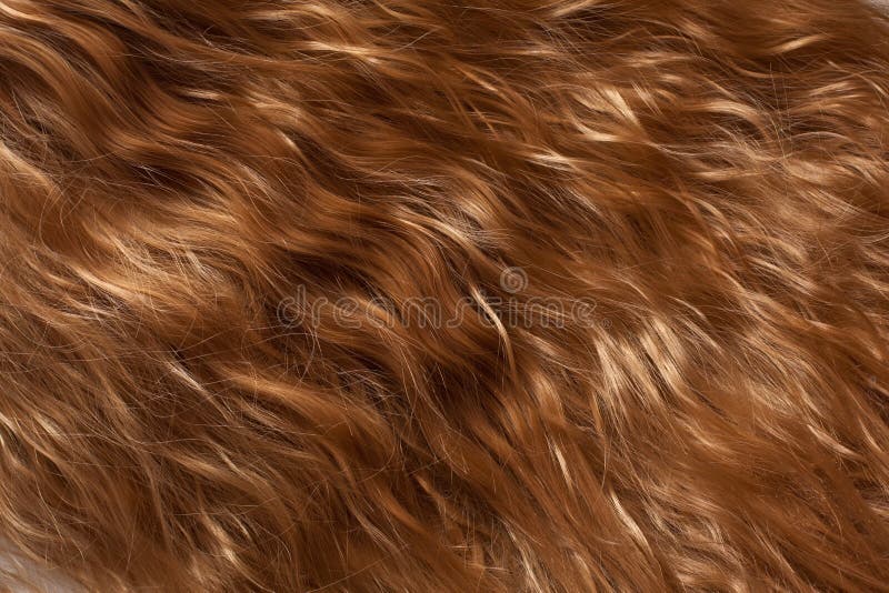 Hair Texture stock image. Image of female, color, colour - 28961297
