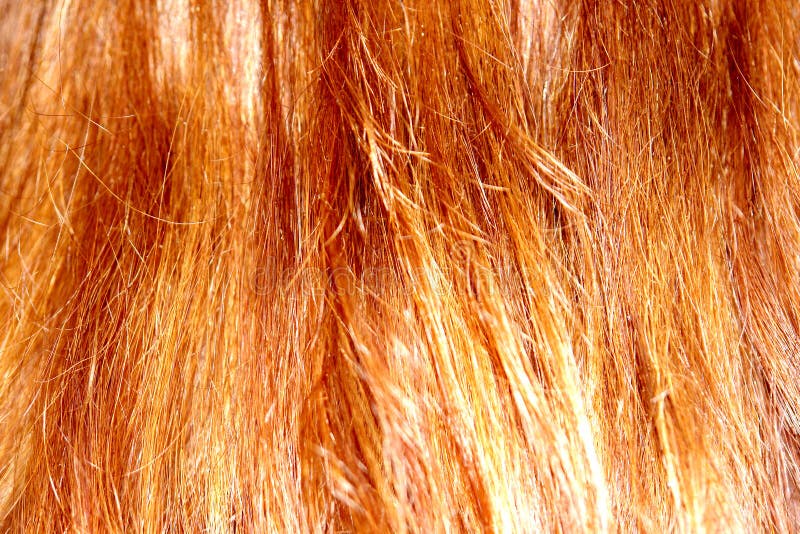 Hair texture stock image. Image of human, straight, curl - 8203975