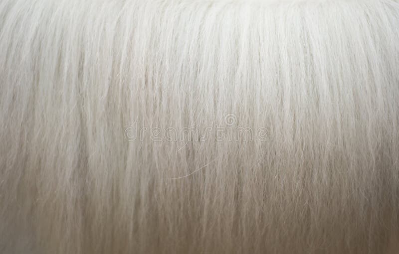 Hair Texture Pattern, White Blonde Stock Photo - Image of gray ...