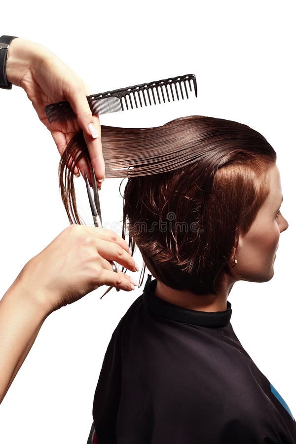 Haircut stock photo. Image of scissors, beautiful, individuality - 15702346
