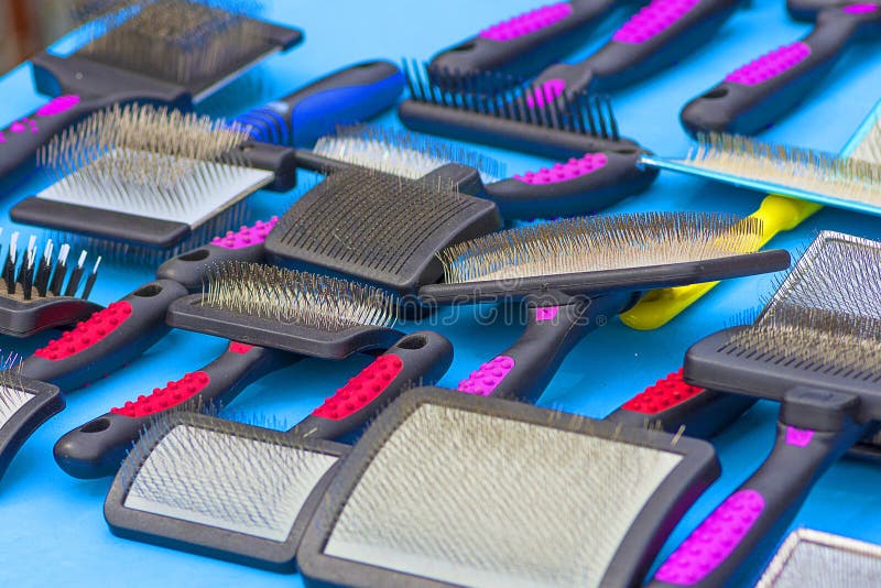 Dog Carding Stock Photos - Free & Royalty-Free Stock Photos from Dreamstime