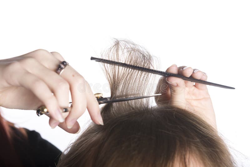 Hairstylist Cutting Hair Female Customer Detail Stock Photos - Free ... Hairstylist Cutting Hair Female Customer Detail Stock Photos - Free ...