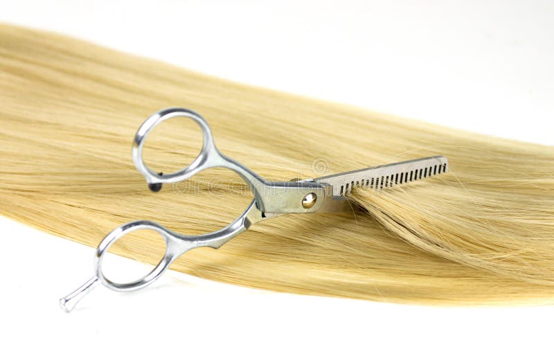 Hairdresser S Scissors With Strand Of Blonde Hair On White Long Blond