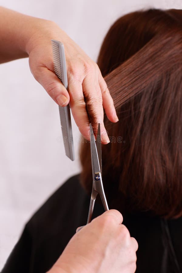 Hairdressing stock photo. Image of salon, woman, hair - 14386672