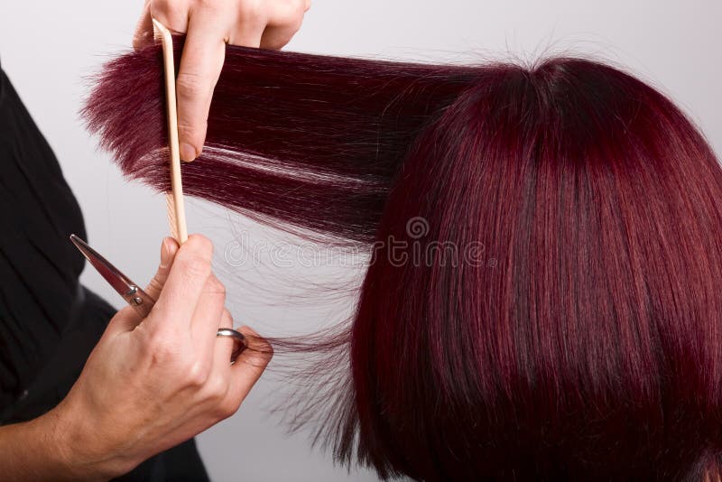 Hairdressing stock image. Image of profession, adult, working - 7280059