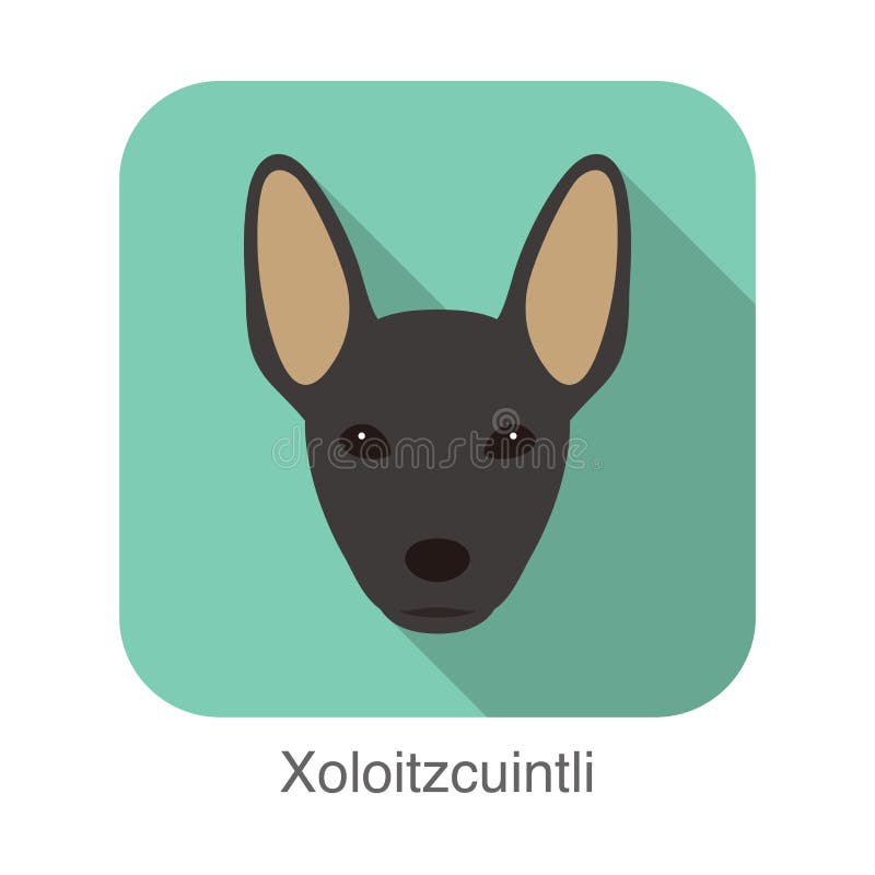 Hairless Dog Xoloitzcuintli Face, Vector Illustration Stock Vector ...