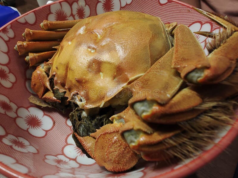 Hairy crab side view stock image. Image of meat, meal - 235113039