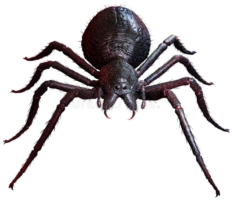 Giant Spider stock illustration. Illustration of fantasy - 16926676