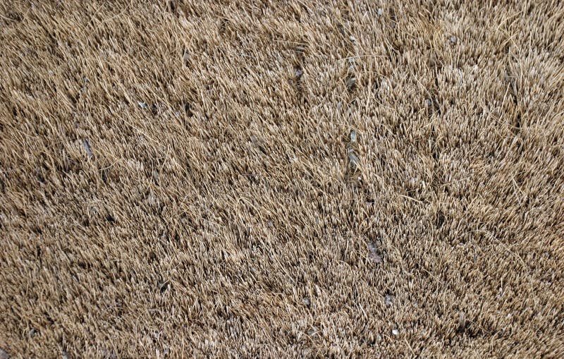 Hairy rug texture stock image. Image of light, rough, hair - 322291