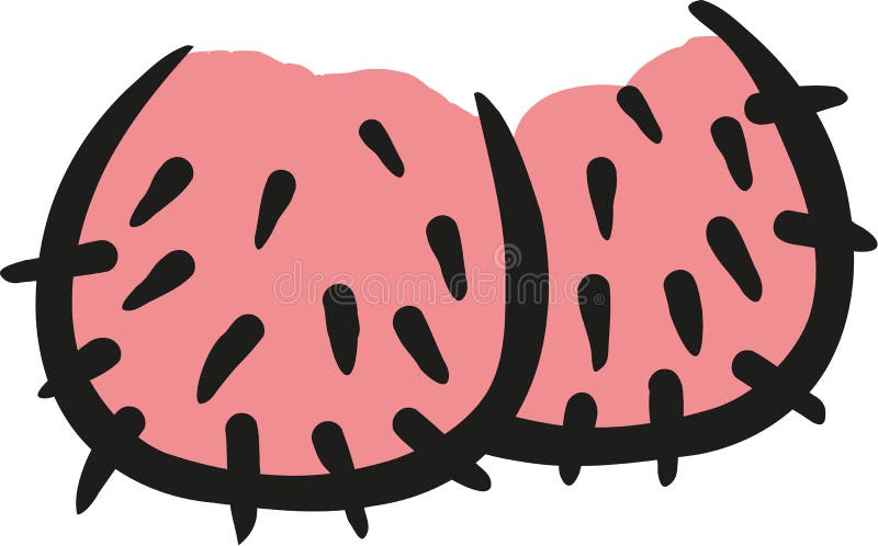 Hairy testis balls stock vector. Illustration of sexual - 107146858