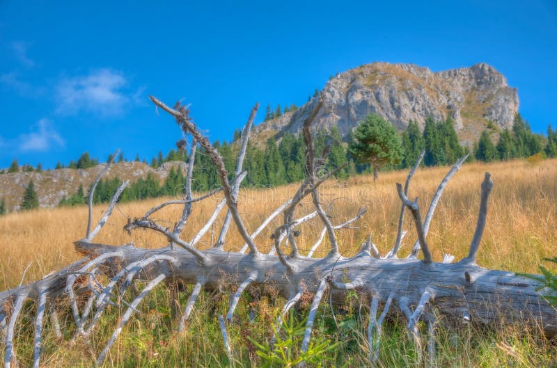 Hajla Peak at Rugova Mountains in Kosovo Stock Image - Image of slope ...