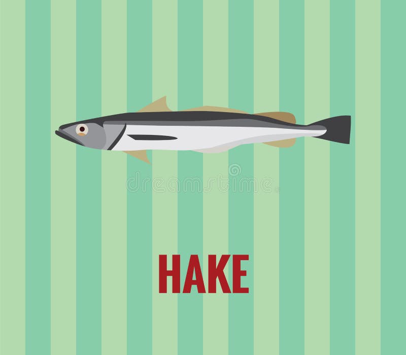 Hake Stock Illustrations – 551 Hake Stock Illustrations, Vectors ...