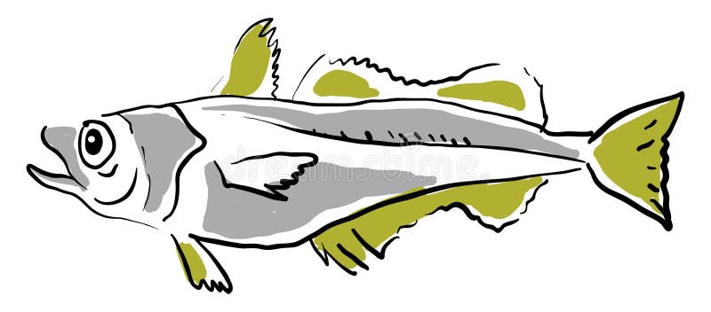 Hake Sketch Stock Illustrations – 85 Hake Sketch Stock Illustrations ...