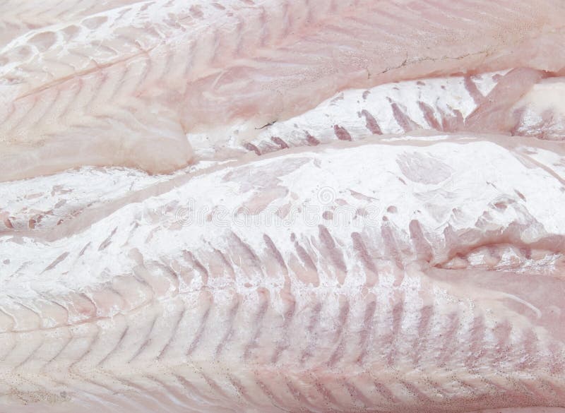 Hake fillet stock photo. Image of fried, main, green - 11464304