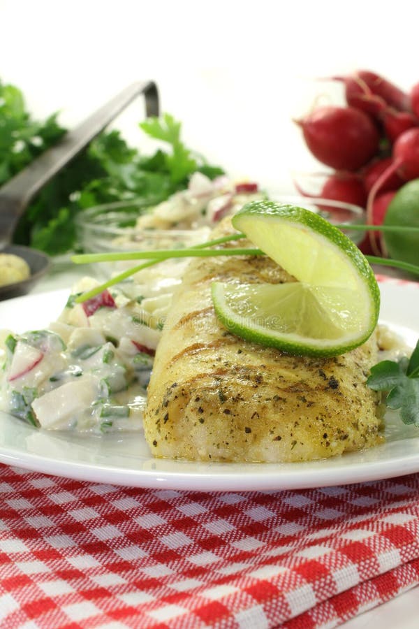 Hake fillet stock image. Image of hake, delicacy, baked - 25947059