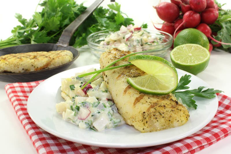 Hake fillet stock photo. Image of salad, grilled, lime - 25965126
