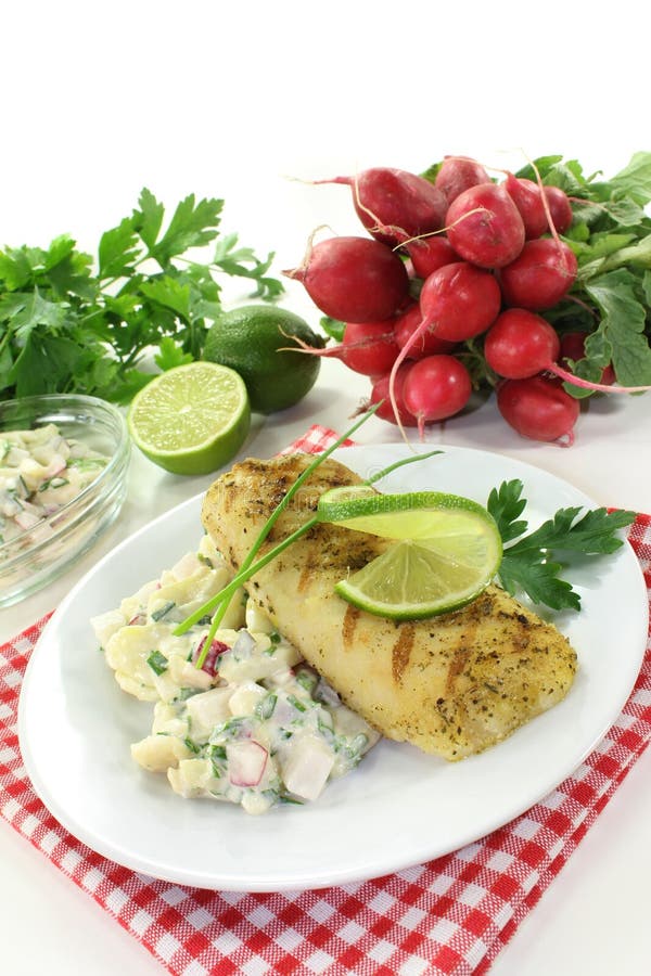 Hake fillet stock image. Image of fillets, hake, pike - 25947127
