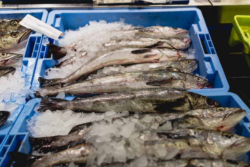 Hake Fish in a Box with Ice in a Fishmonger Stock Image - Image of ...