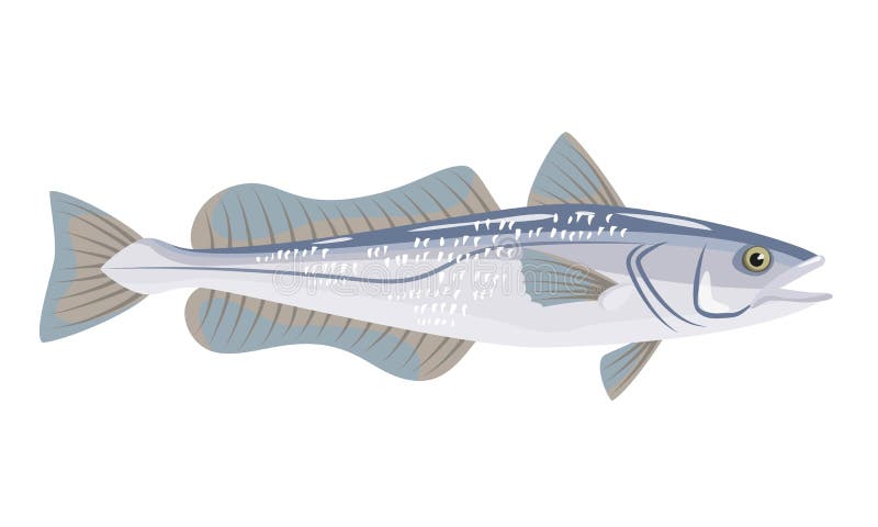 Fish Cartoon Hake Stock Illustrations – 61 Fish Cartoon Hake Stock ...