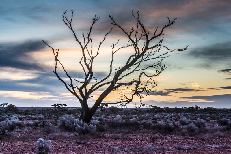 The Pilbara Region of Western Australia Stock Image - Image of growth ...