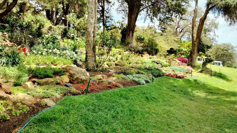 The Hakgala Botanical Garden Sri Lanka Stock Image - Image of leaf ...