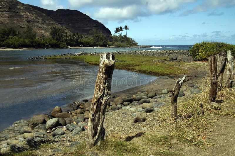 Halawa Bay Hawaii stock photo. Image of seaside, sand - 1331224