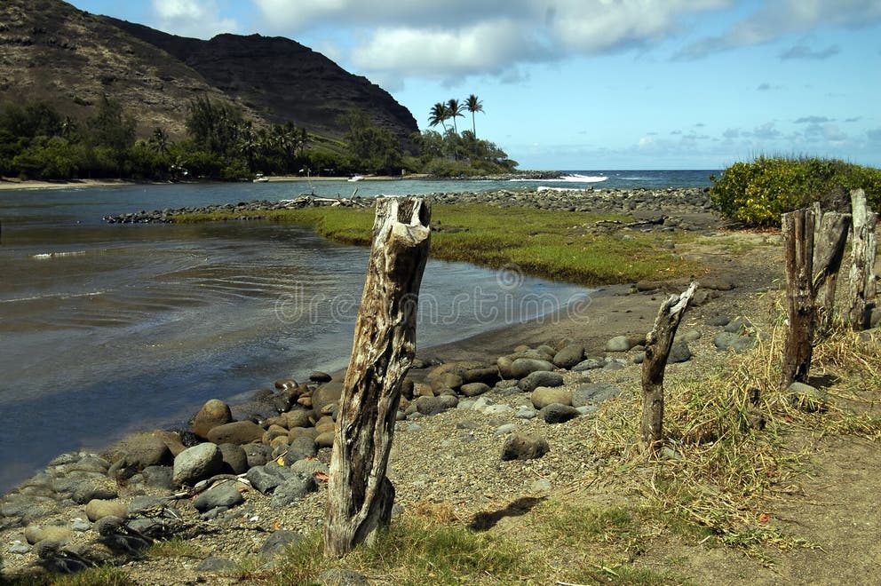 Halawa Bay Hawaii stock photo. Image of seaside, sand - 1331224