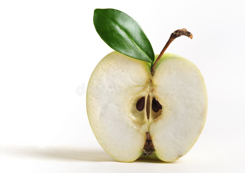 Halber Apfel stockfoto. Bild von apfel, halber - 19125484