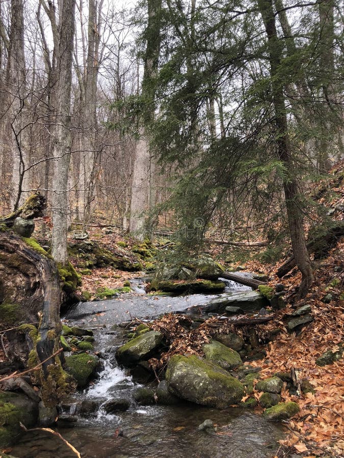 Halcott Mountain in April in Catskill Mountains in New York State ...