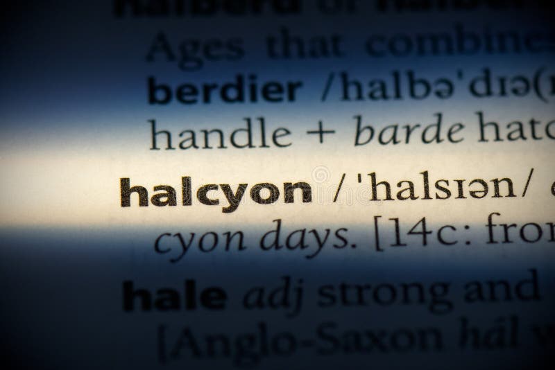 Halcyon stock image. Image of page, english, close, learn - 161576675