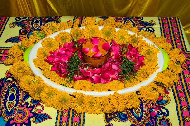 285 Haldi Plant Stock Photos - Free & Royalty-Free Stock Photos from ...