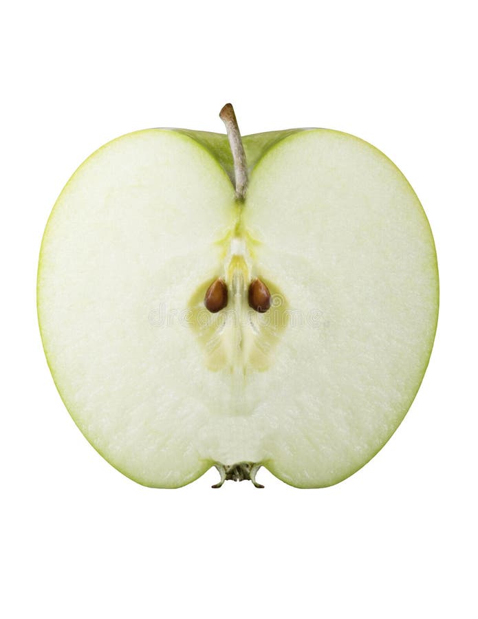 Half of apple stock image. Image of sweet, fruit, stem - 5555147