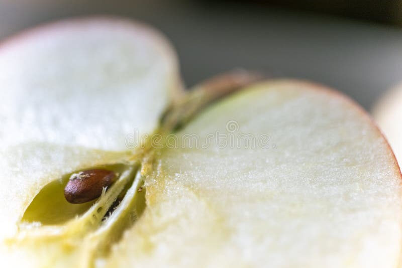 Half of an Apple Cut in Half. Close Up Stock Photo - Image of piece ...