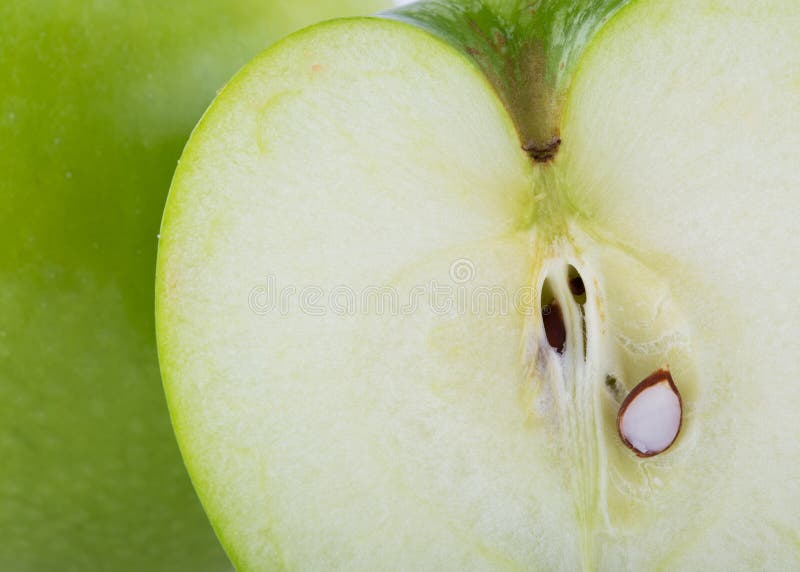 Half of apple fruit stock photo. Image of apple, freshness - 46154264