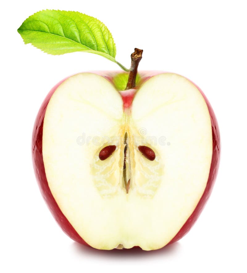 Apple (Half) stock photo. Image of nutrition, isolated - 1710664