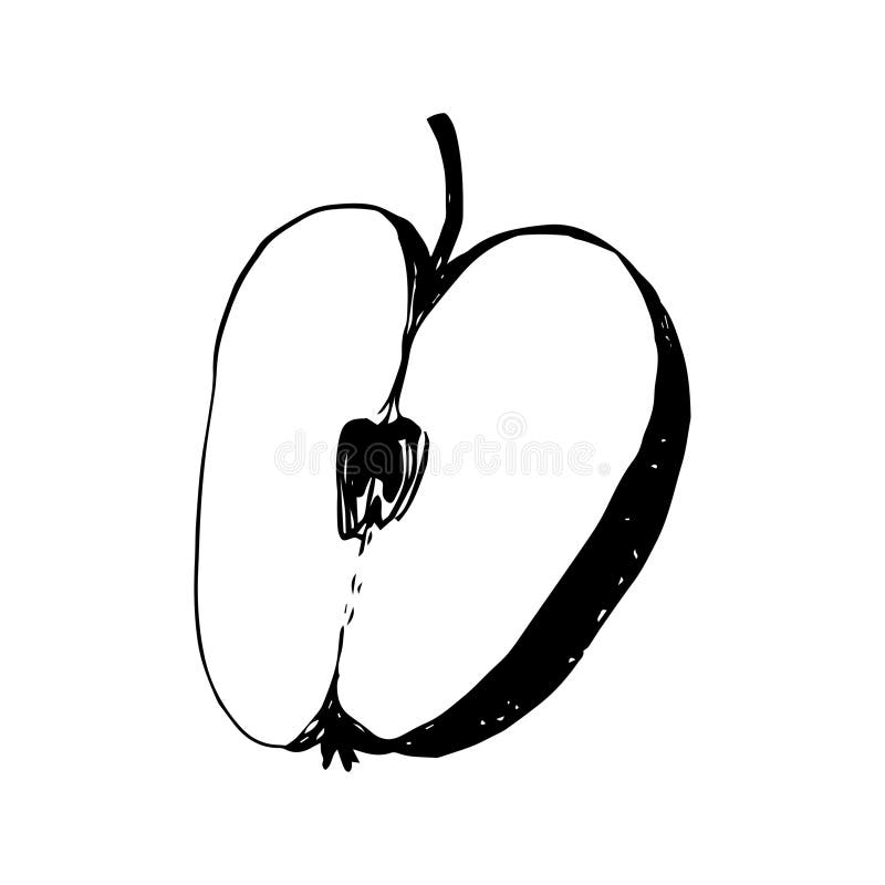 Half an Apple Hand Drawn Illustration, Sketch Style, Simple Drawing ...