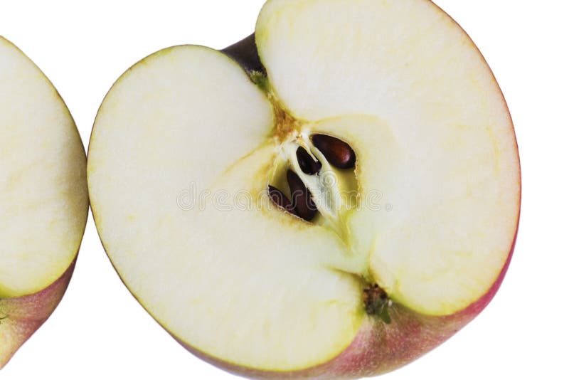 Half of apple top view stock image. Image of slice, white - 87302421