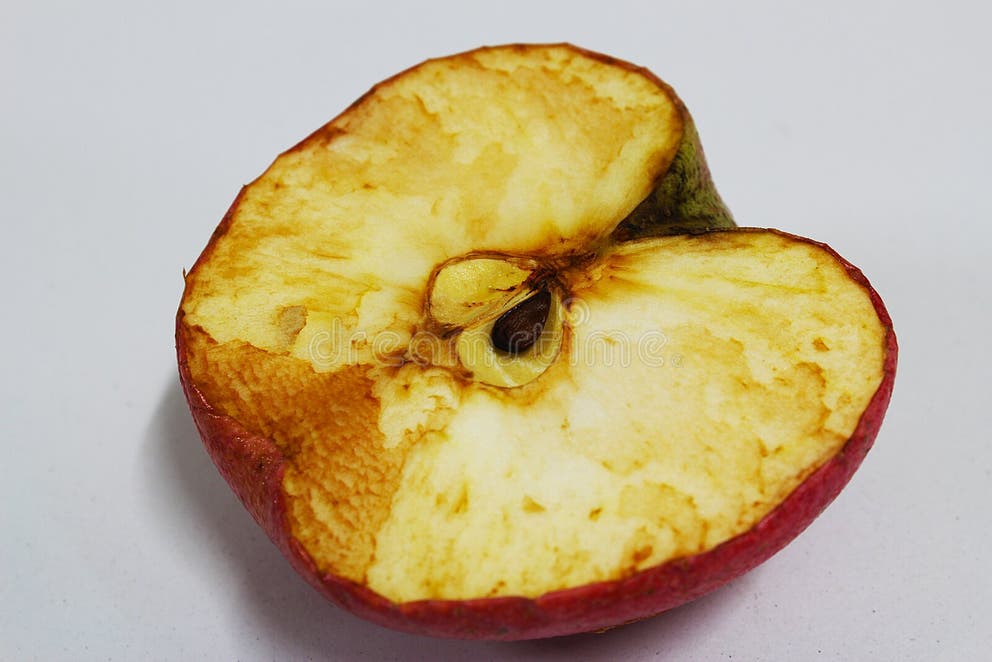 Half an Apple that is Withered Stock Photo - Image of sear, decay ...