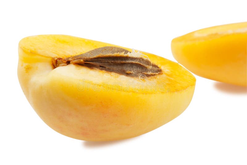 Half of apricot stock image. Image of juicy, orange, seed - 9995283