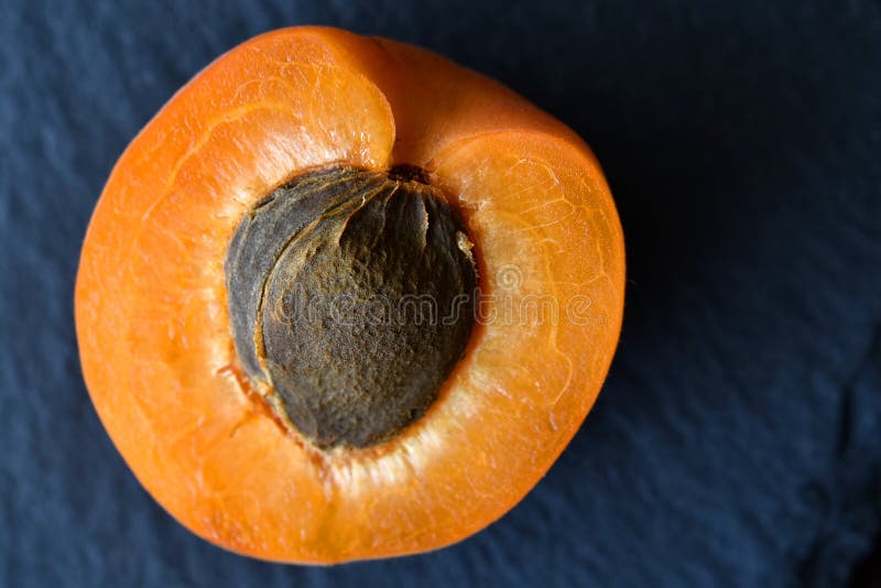 Macro half of an apricot stock photo. Image of organic - 153248078